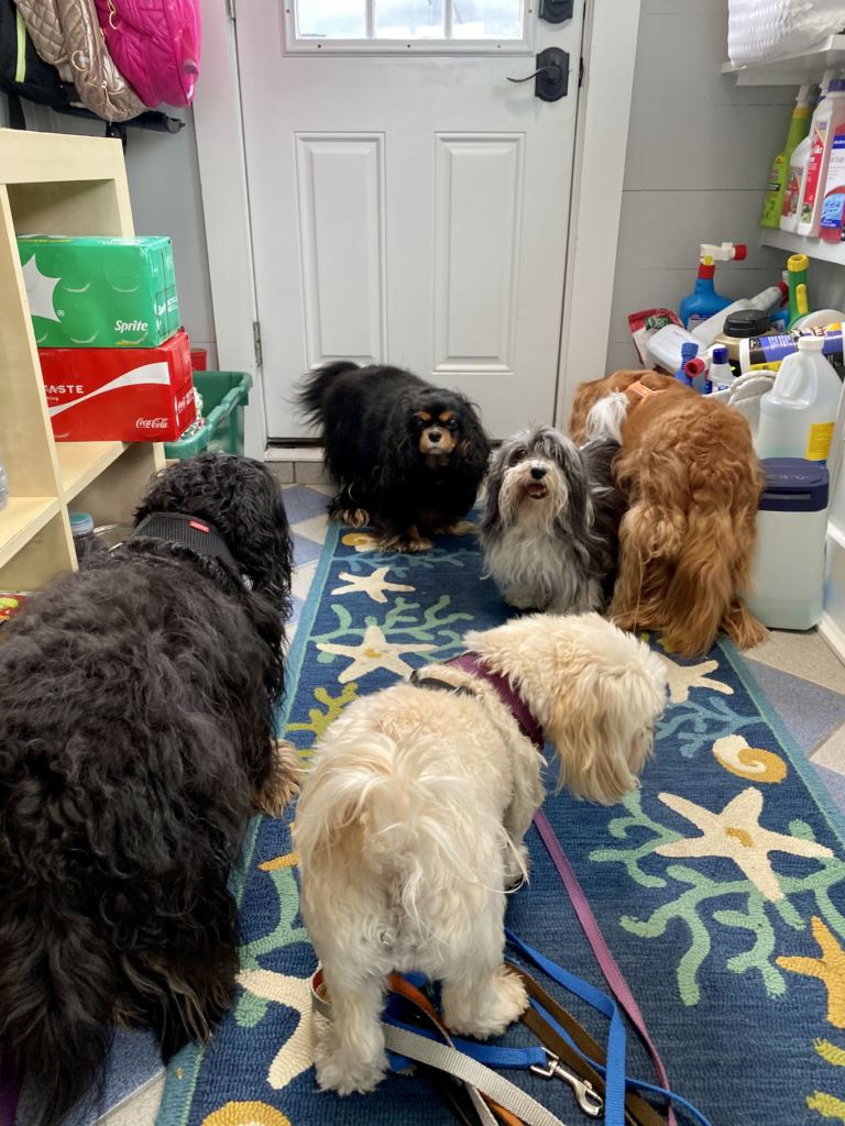 What Icky Things Physical Clutter Can Do to Your Mind | declutterbuzz.com